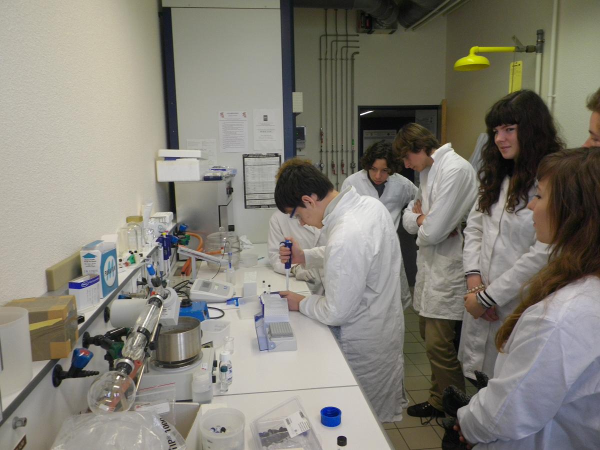 Les Premières S partenaires de l’IRCOF | Institution Jean-Paul II