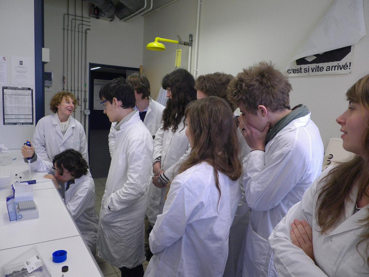 Les Premières S partenaires de l’IRCOF | Institution Jean-Paul II