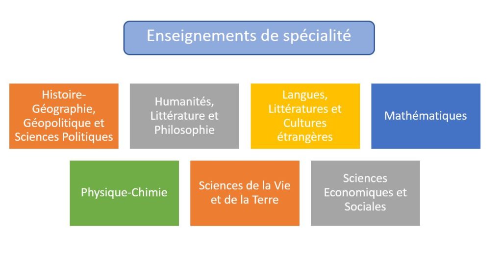 Enseignements spé 1ere | Institution Jean-Paul II